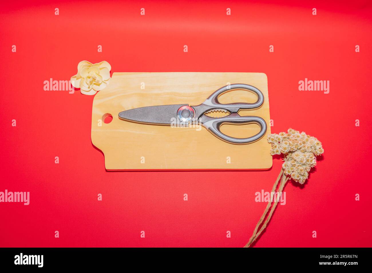 Fabric Scissors are a must-have tool for anyone working with fabrics ...