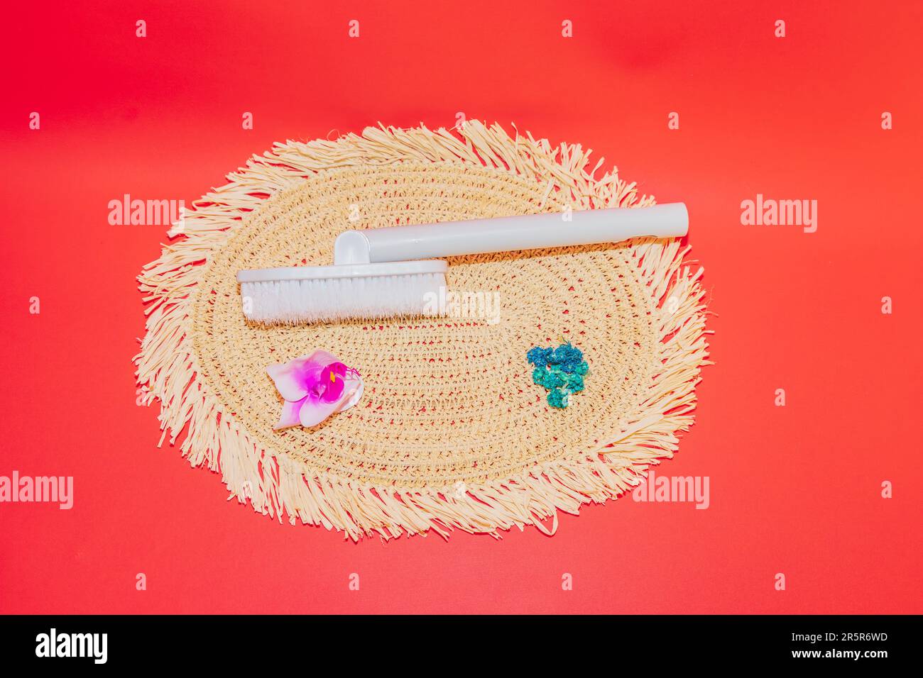 The Long-handled White Brush is a versatile cleaning tool designed to ...