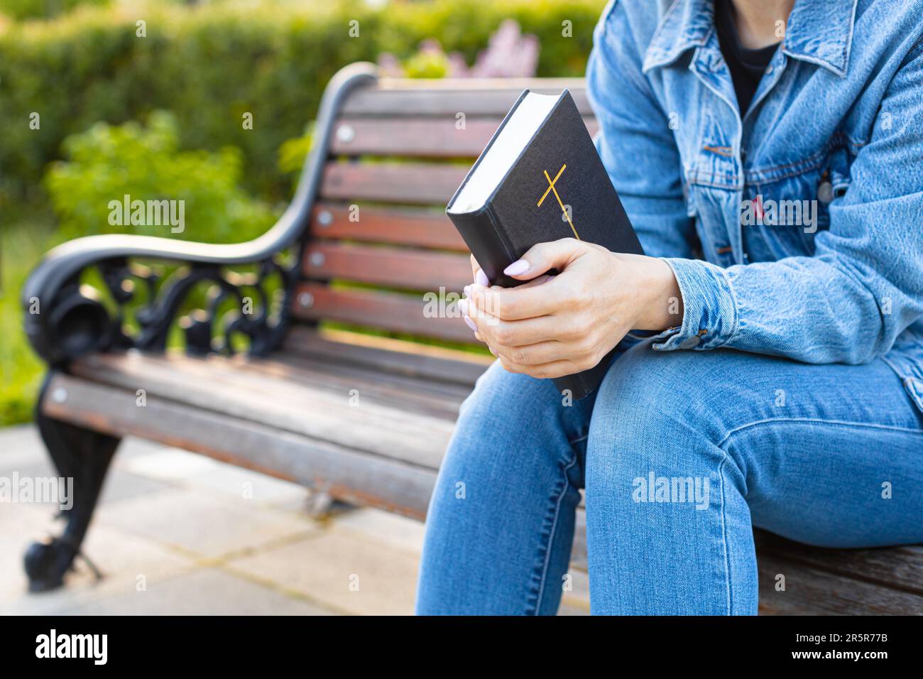 woman reading the bible sitting on a bench. woman reading the bible on ...