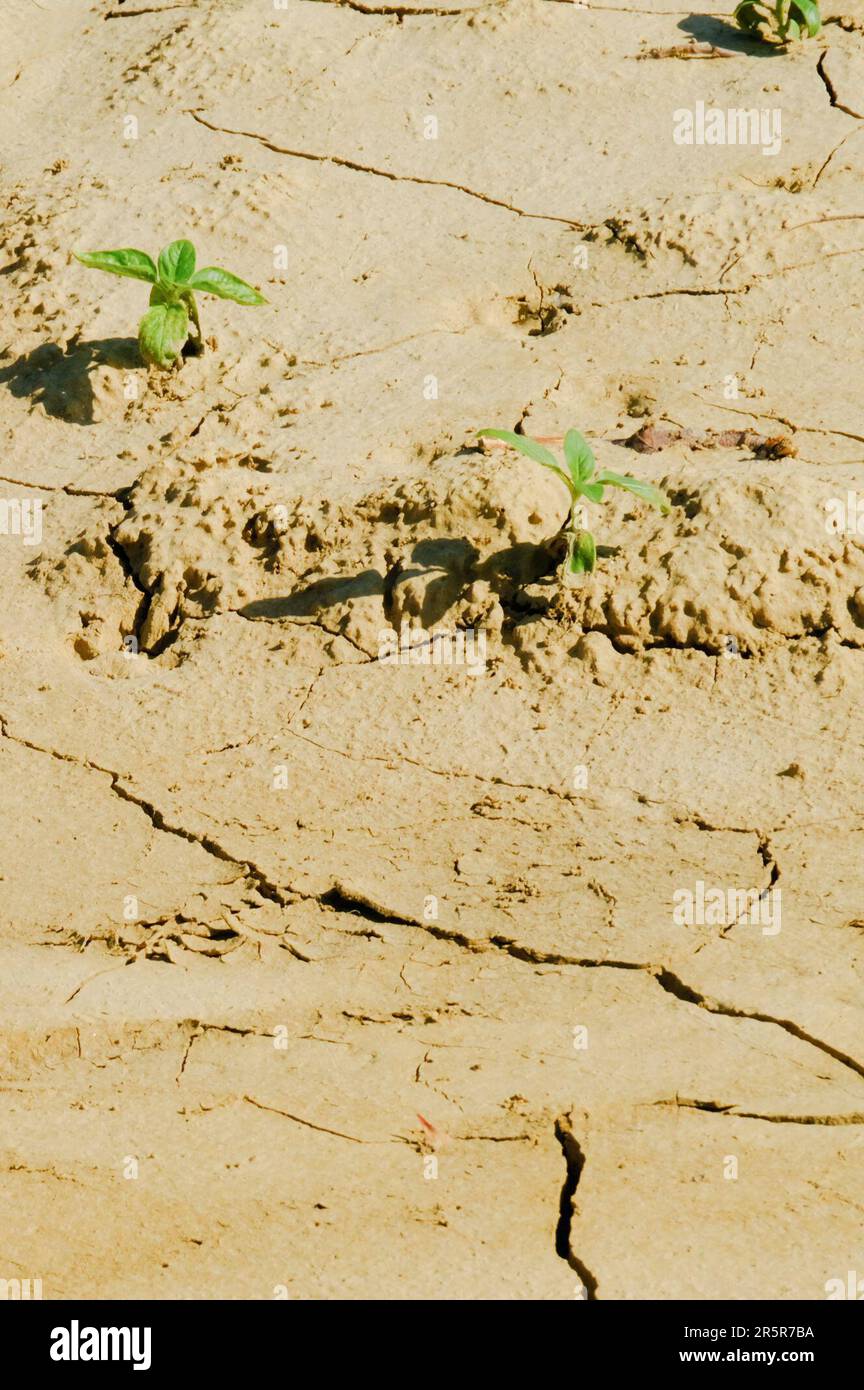 France. 05th June, 2023. Droughts, floods and heat waves threaten ...