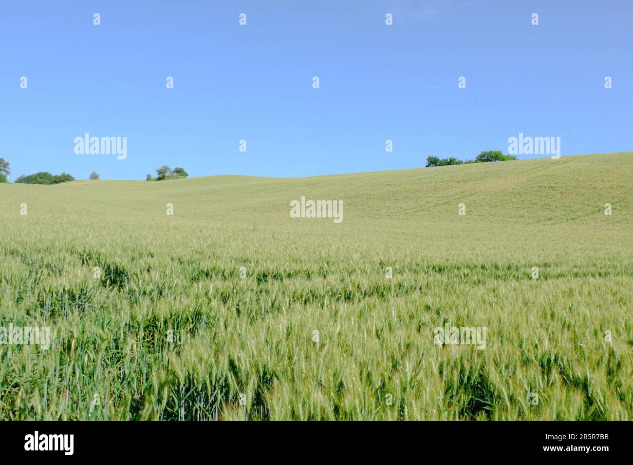 France. 05th June, 2023. Droughts, floods and heat waves threaten ...