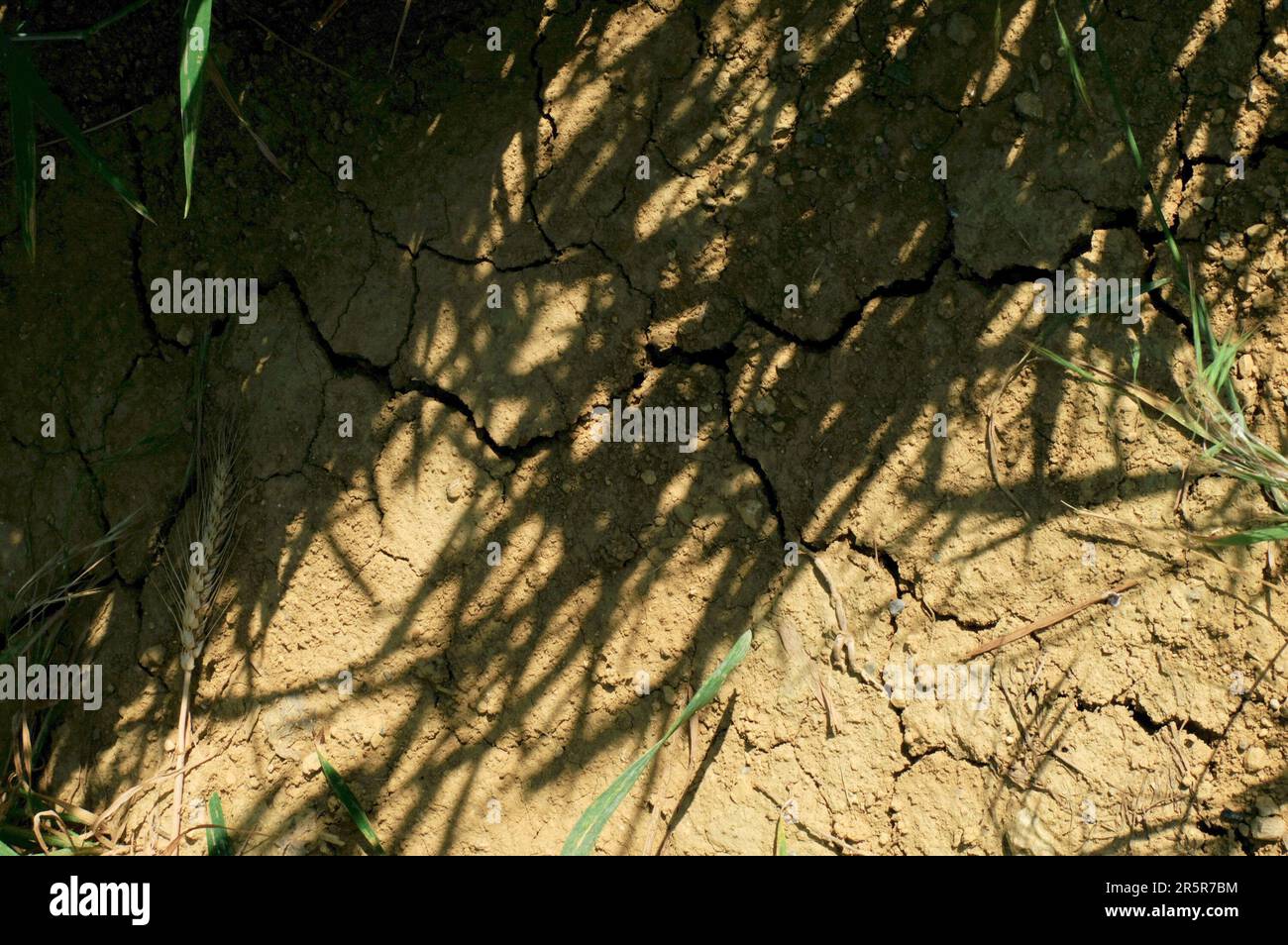 France. 05th June, 2023. Droughts, floods and heat waves threaten ...