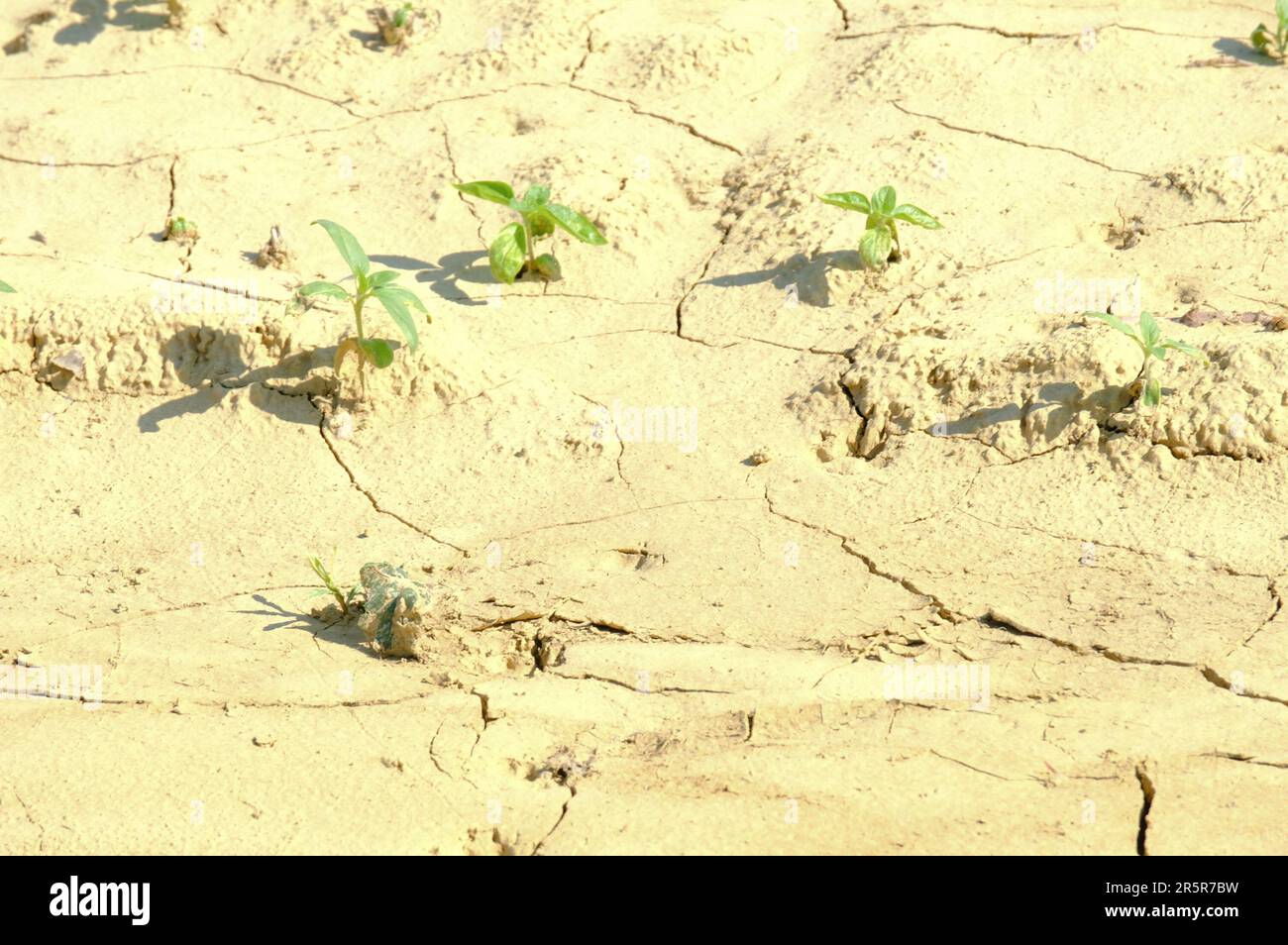 France. 05th June, 2023. Droughts, floods and heat waves threaten ...