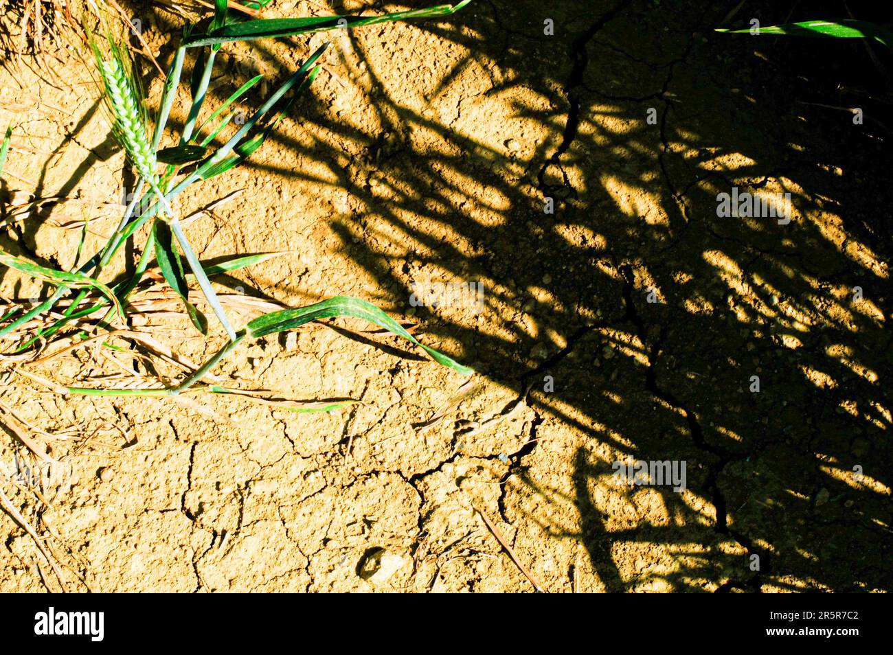 France. 05th June, 2023. Droughts, floods and heat waves threaten ...