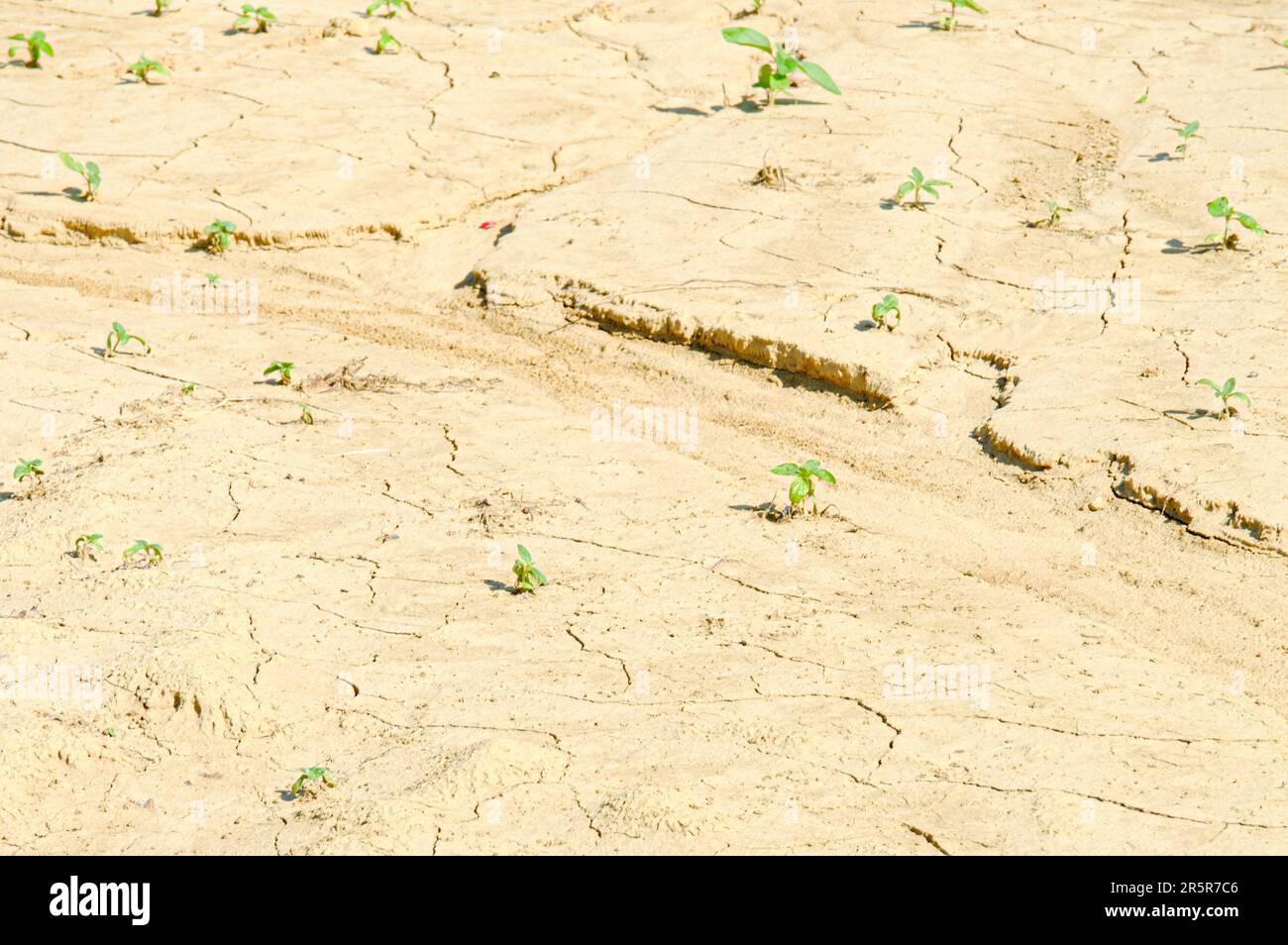 France. 05th June, 2023. Droughts, floods and heat waves threaten ...