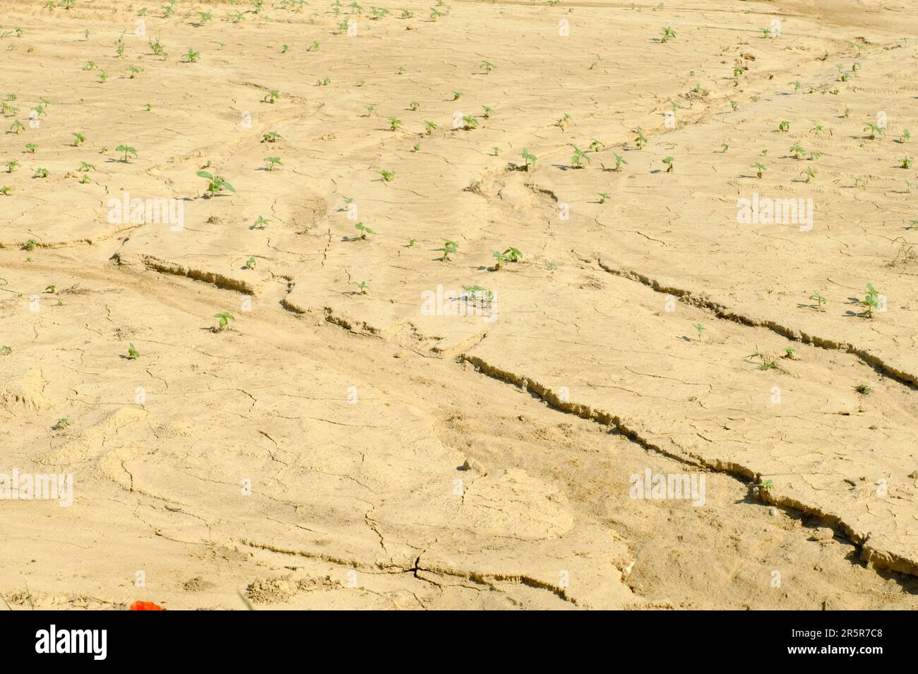 France. 05th June, 2023. Droughts, floods and heat waves threaten ...