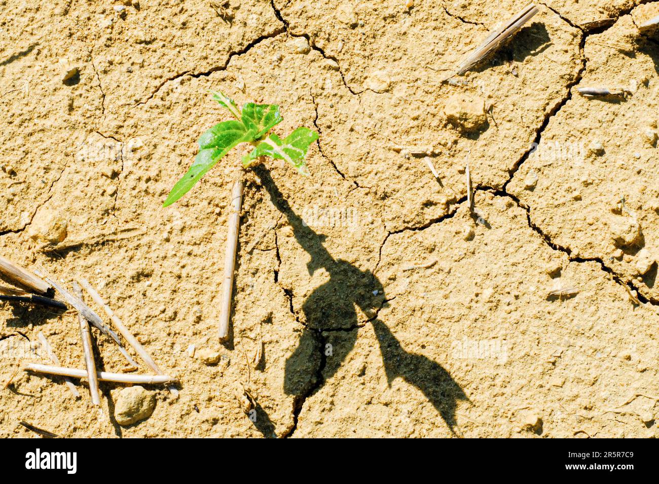 France. 05th June, 2023. Droughts, floods and heat waves threaten ...