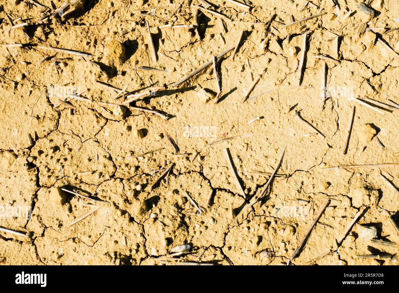 France. 05th June, 2023. Droughts, floods and heat waves threaten ...