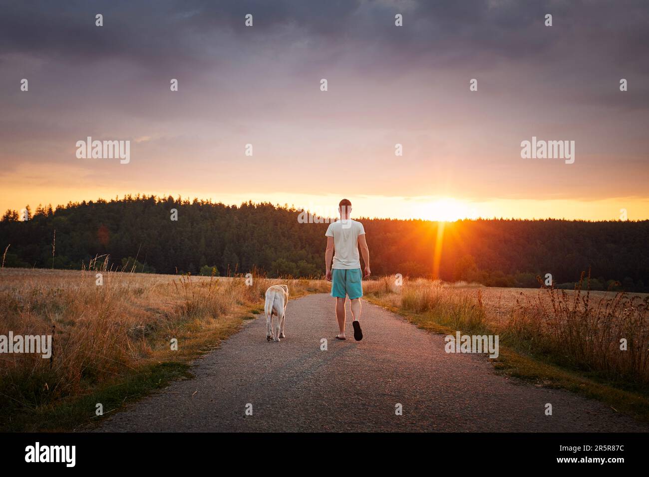 Rear view of man walking with dog together on rural road. Pet owner and ...