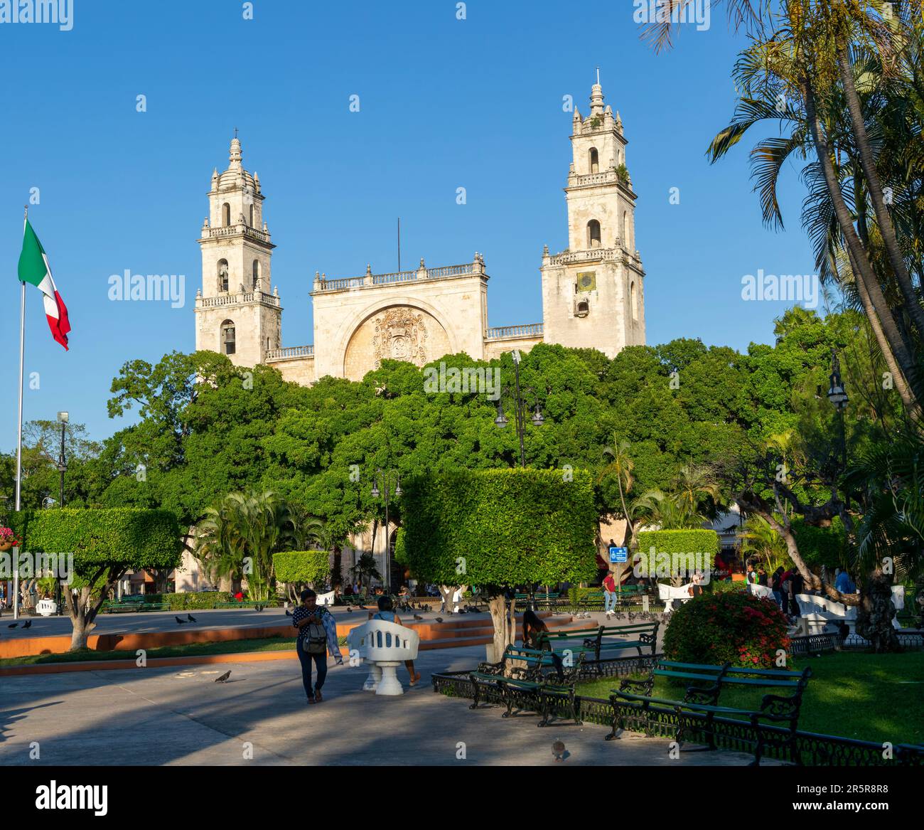 Plaza Grande city main square, Cathedral church of San Ildefonso ...