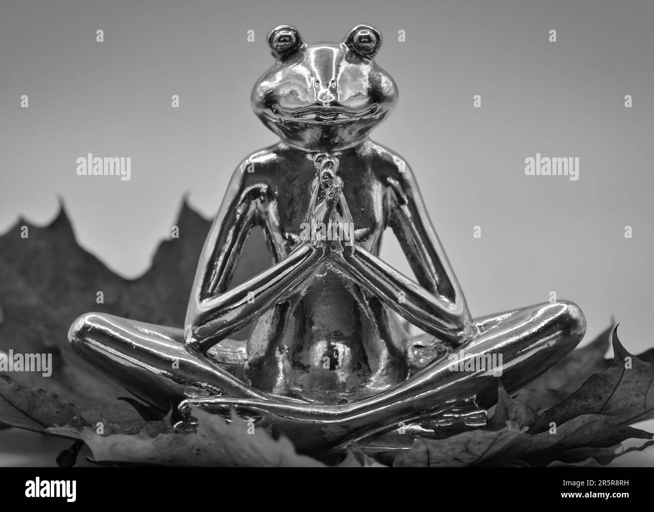 A closeup of a silver frog sculpture with two open eyes Stock Photo - Alamy