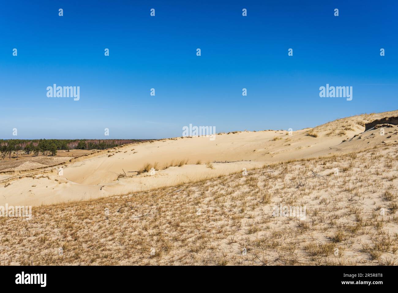 The Gray Dunes, or the Dead Dunes is sandy hills with a bit of green ...