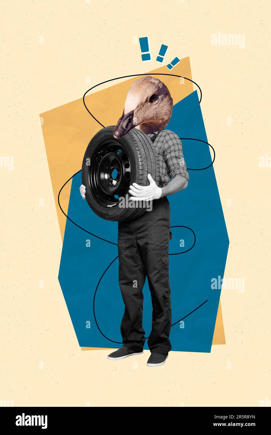 Funny illustration collage picture of head duck surreal person mechanic ...