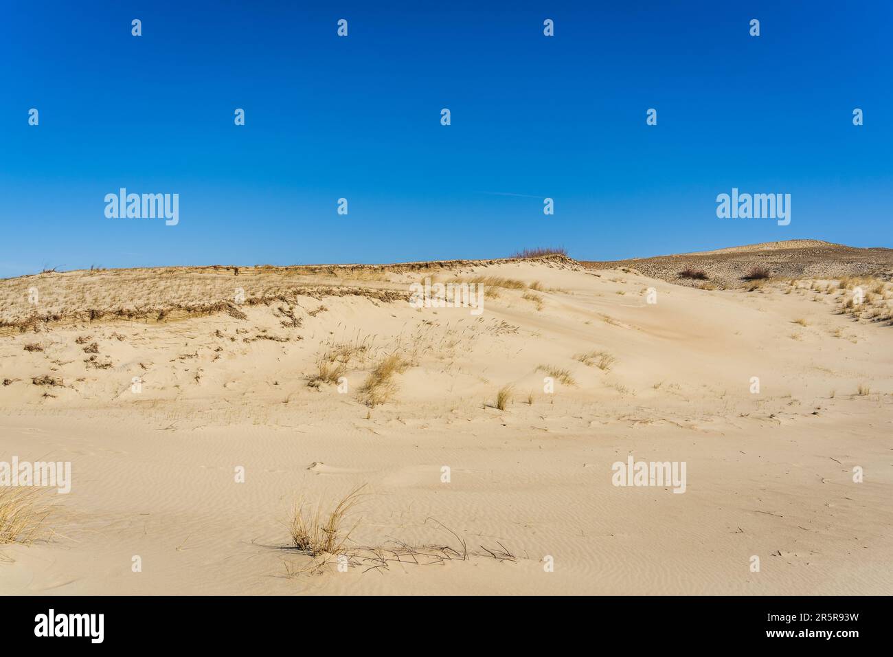 The Gray Dunes, or the Dead Dunes is sandy hills with a bit of green ...