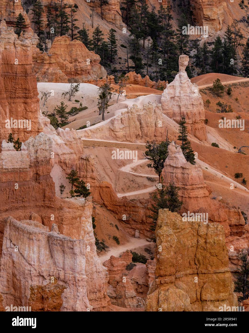 This majestic landscape features a striking combination of red and tan ...