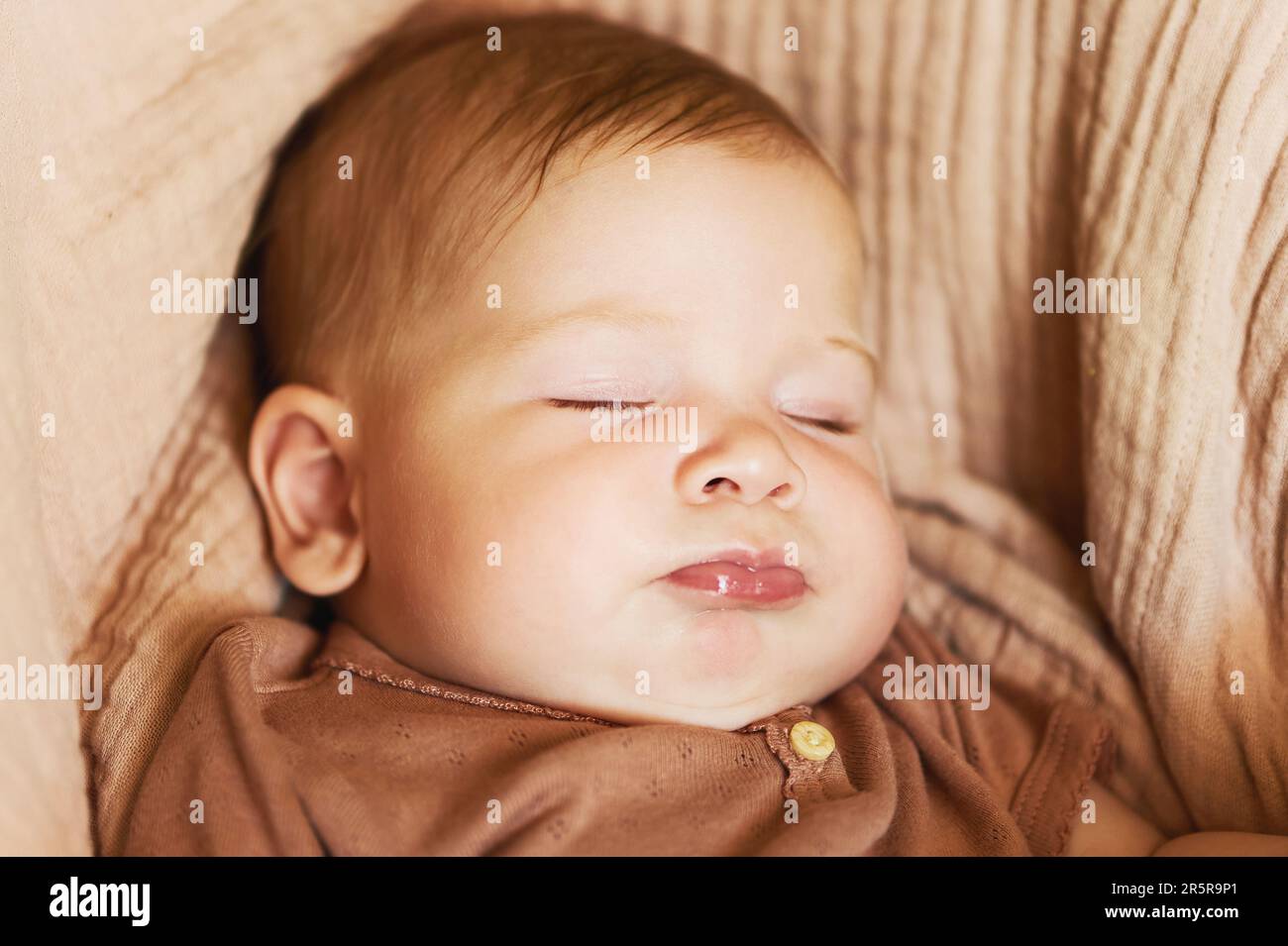 Close up portrait of sweet baby sleeping in buggy in warm light Stock ...
