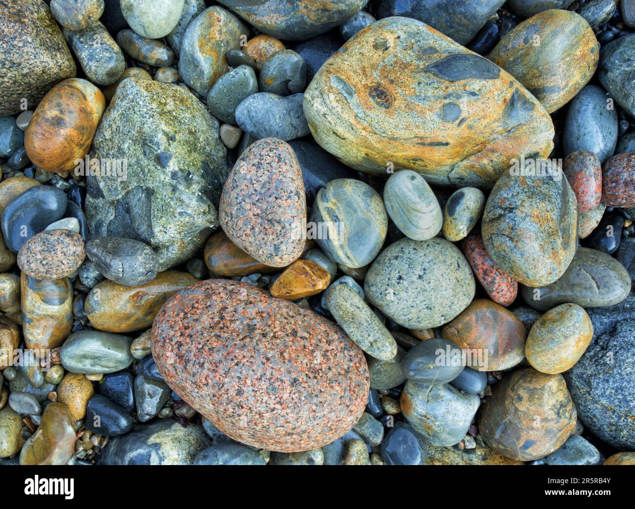 Rock pattern, Little Hunters Beach at Hunters Head, Acadia National ...
