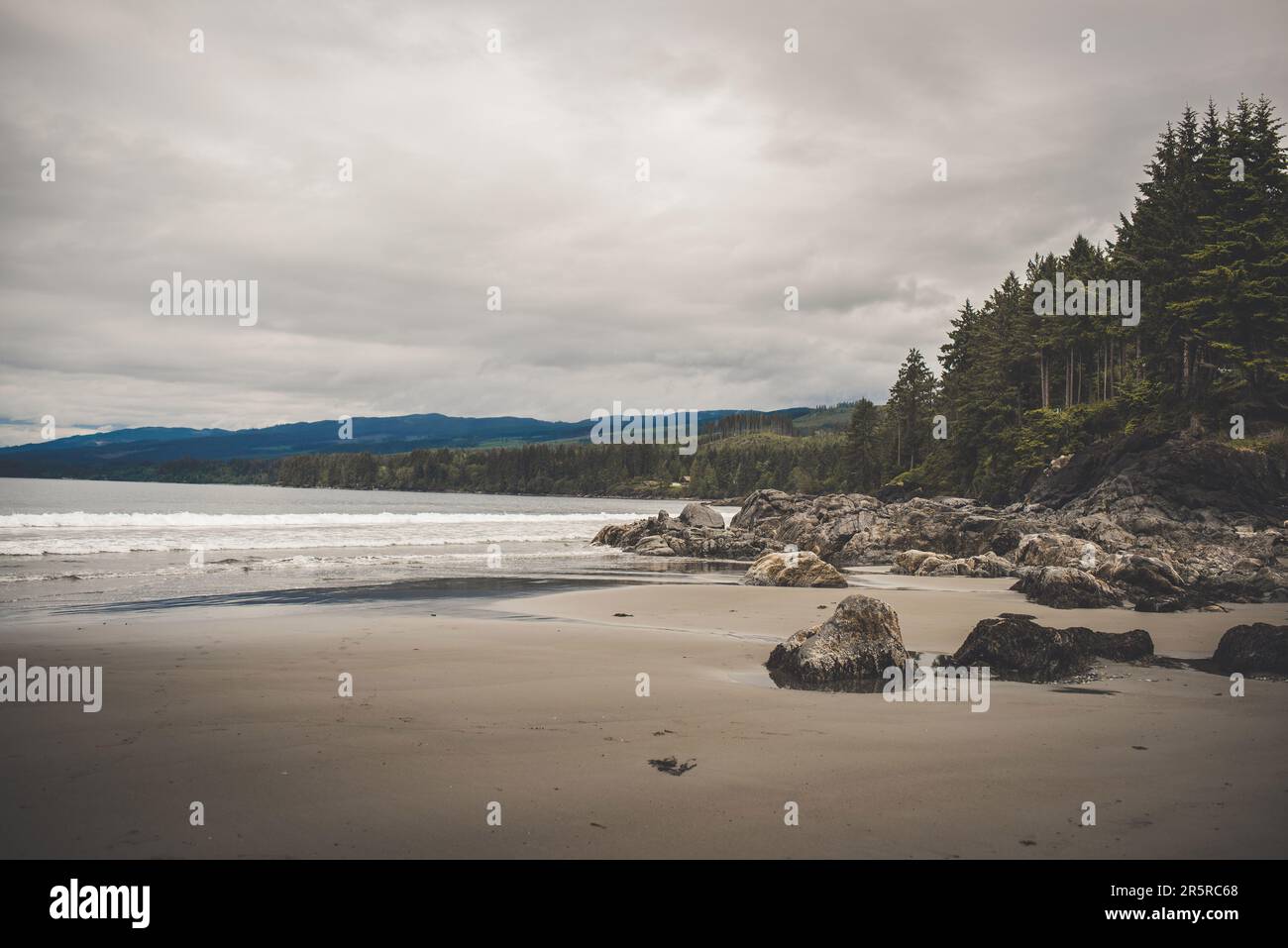Columbia atlantic rain forest hi-res stock photography and images - Alamy
