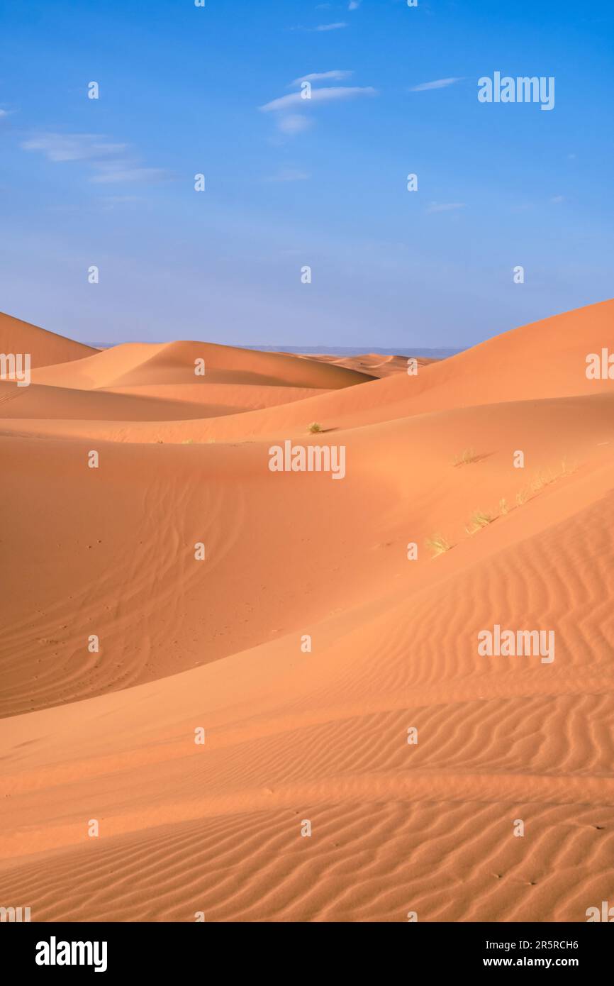 The sand dunes and blue sky in the Sahara desert, Morocco Stock Photo ...