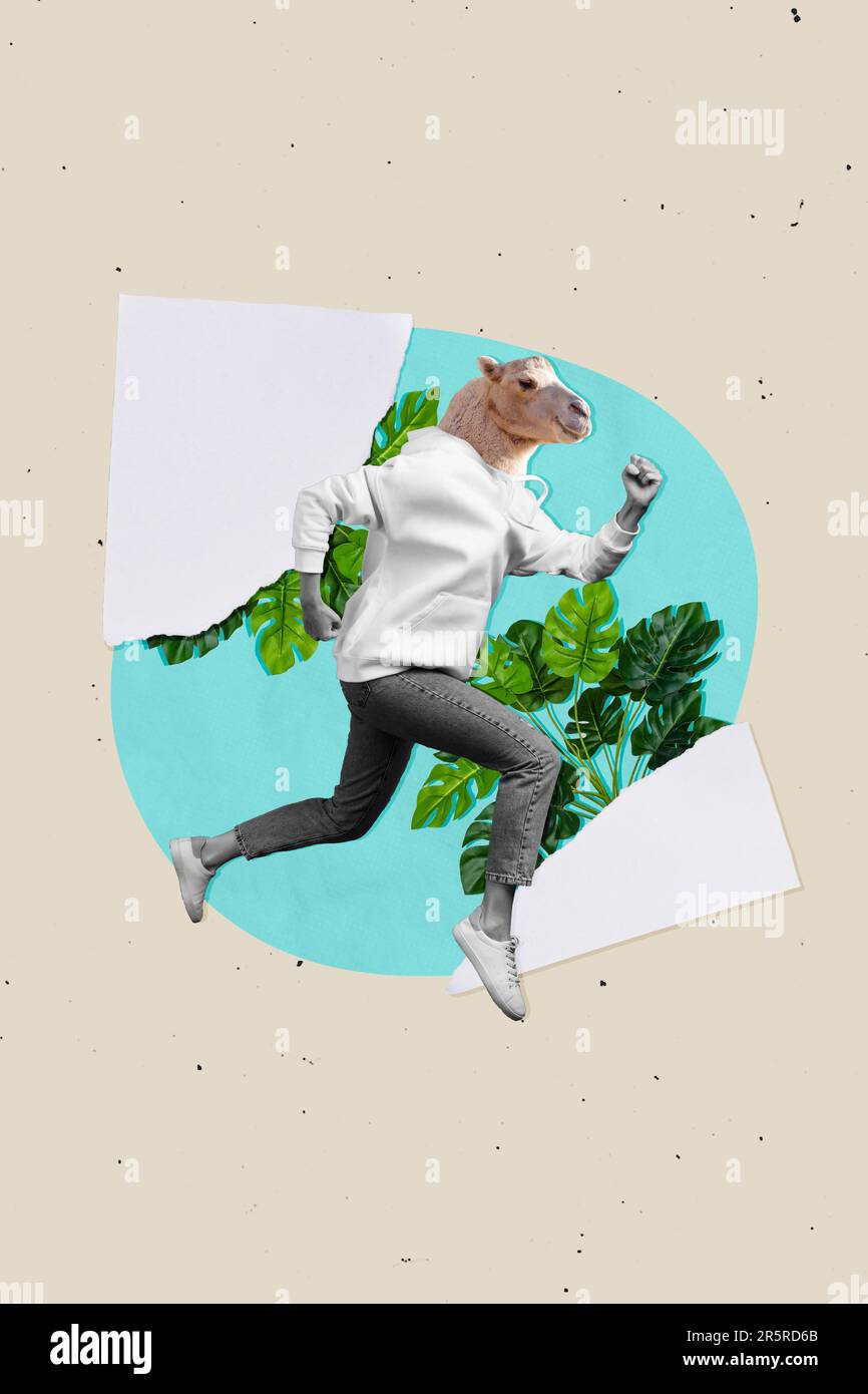 Creative composite design collage illustration of headless camel ...