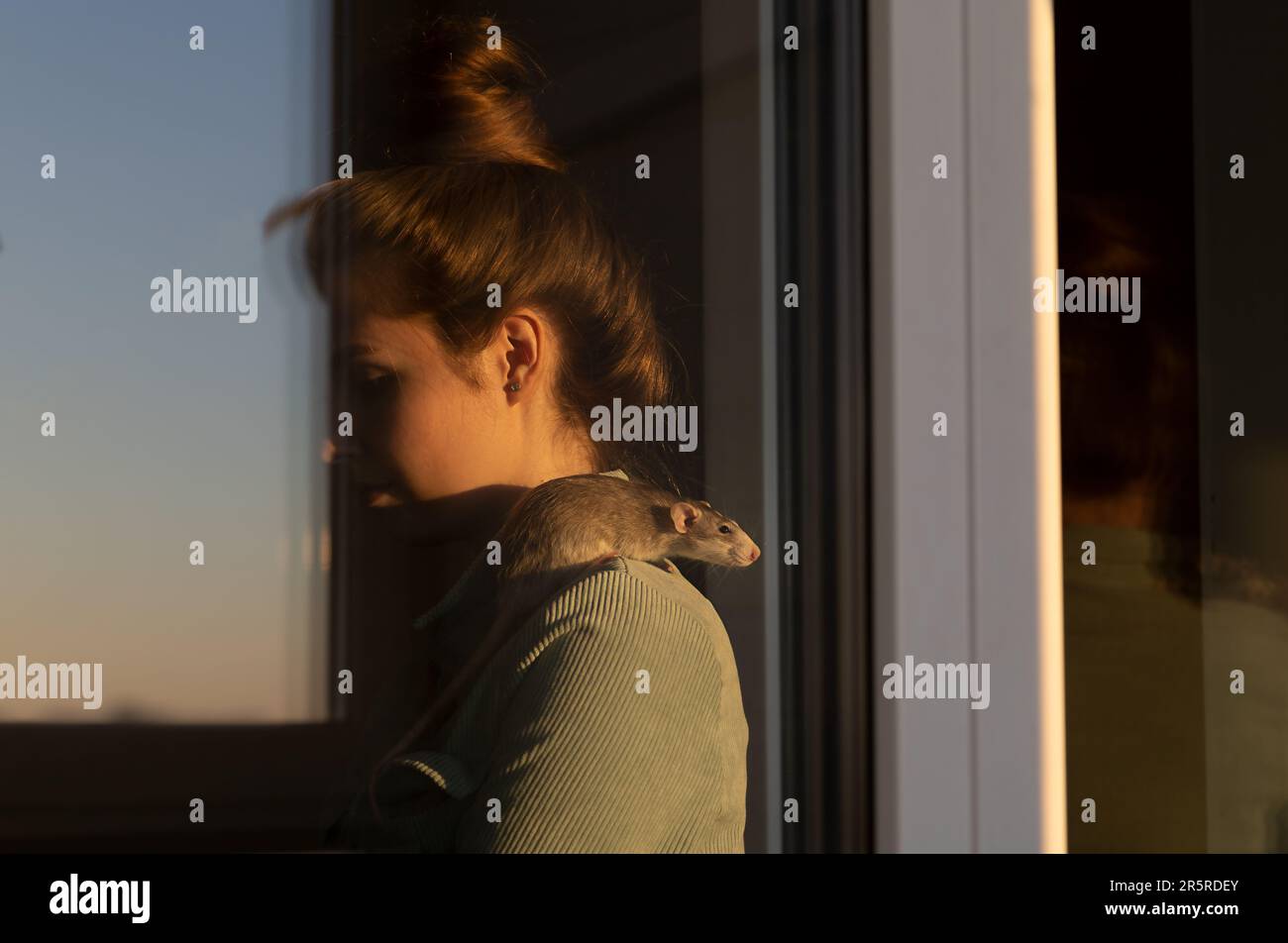 cute rat on the shoulder of a beautiful young girl Stock Photo - Alamy