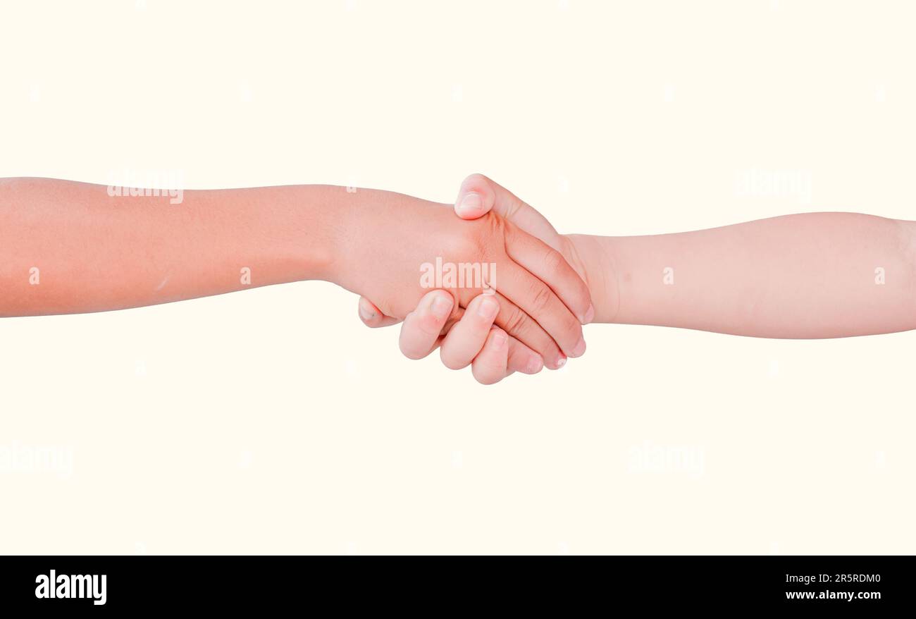 An isolated image of two hands shaking against a clear background Stock ...