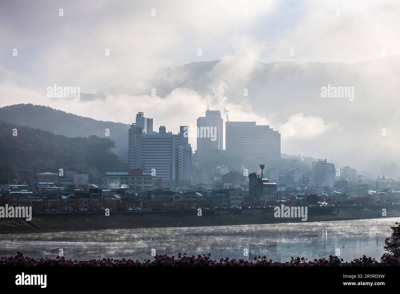 Particularly attractive hi-res stock photography and images - Alamy