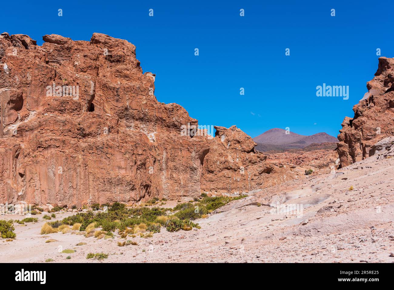 Rock formation in the desertic bolivian plateau Stock Photo - Alamy