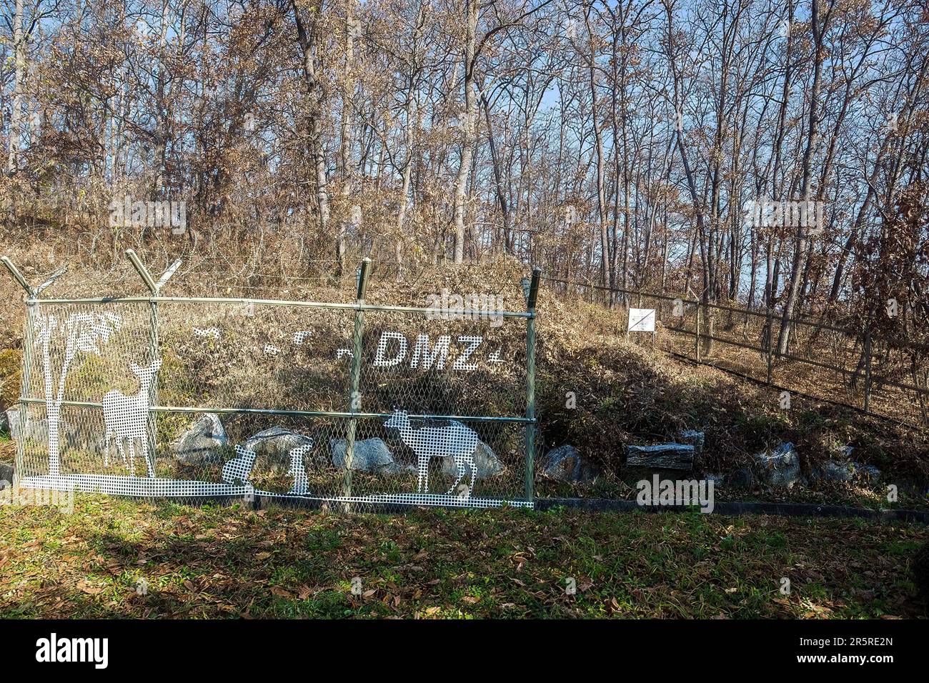 Korea dmz deer hi-res stock photography and images - Alamy