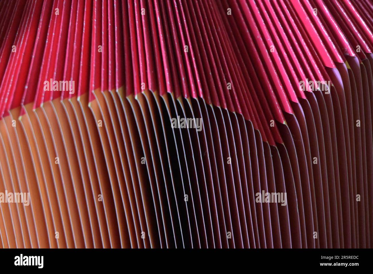 Heart Shaped Folded Book Stock Photo Alamy