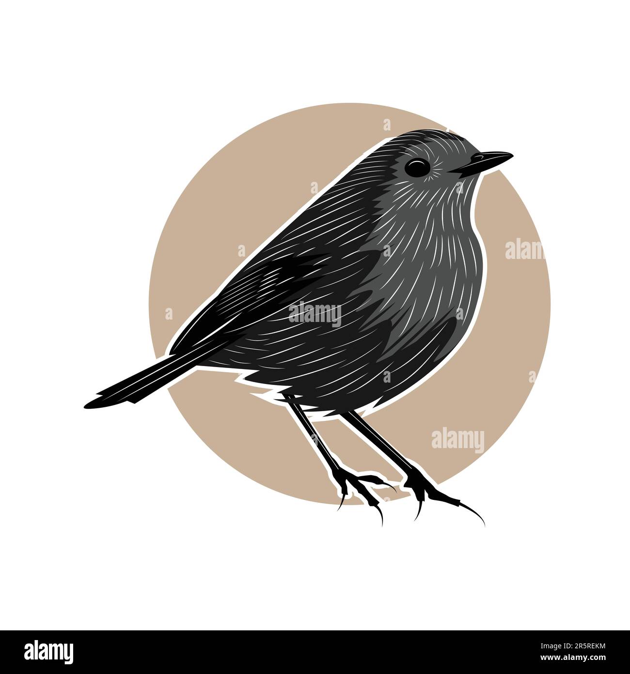 Hand-drawn blackbird. Vector illustration isolated on a white ...