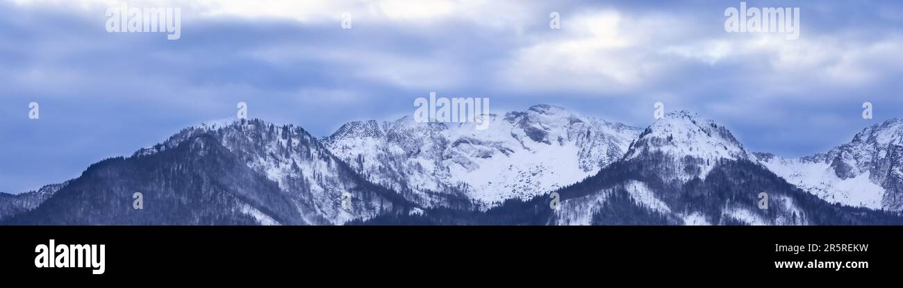 Snowy Mountain Banner