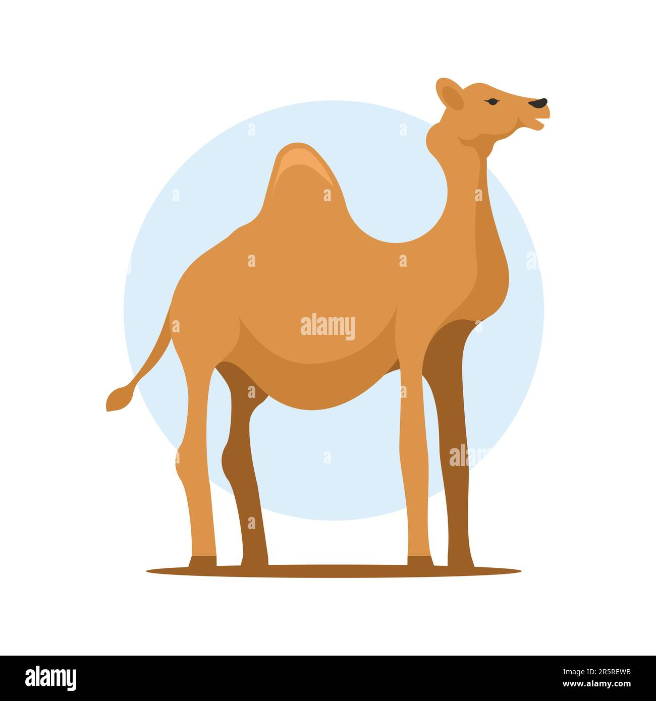 Camel icon. Flat illustration of camel vector icon for web design Stock ...