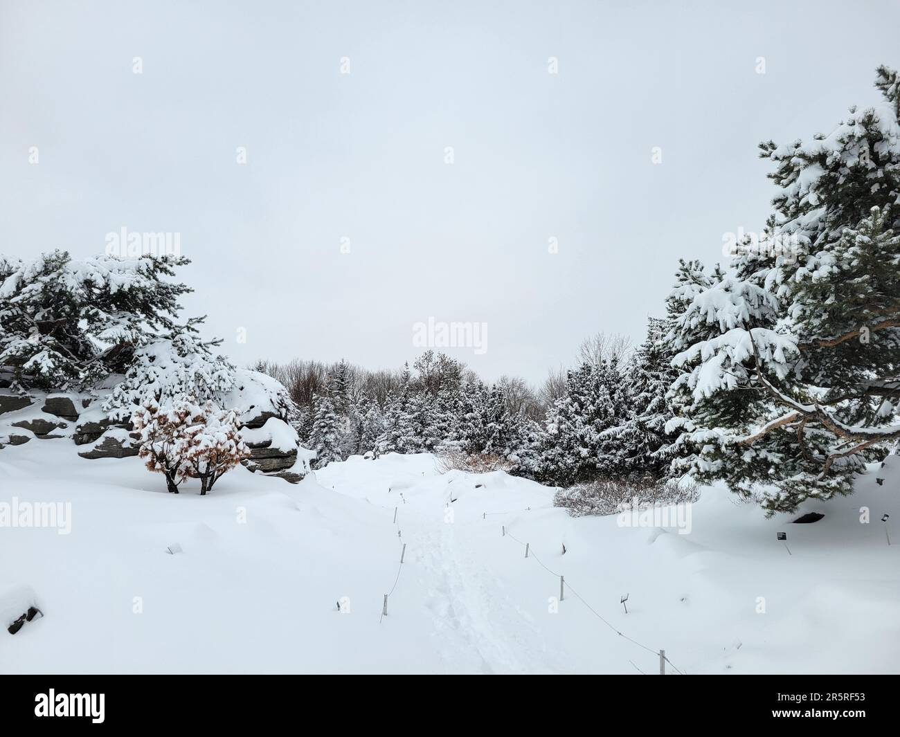 Winding path windy park hi-res stock photography and images - Alamy