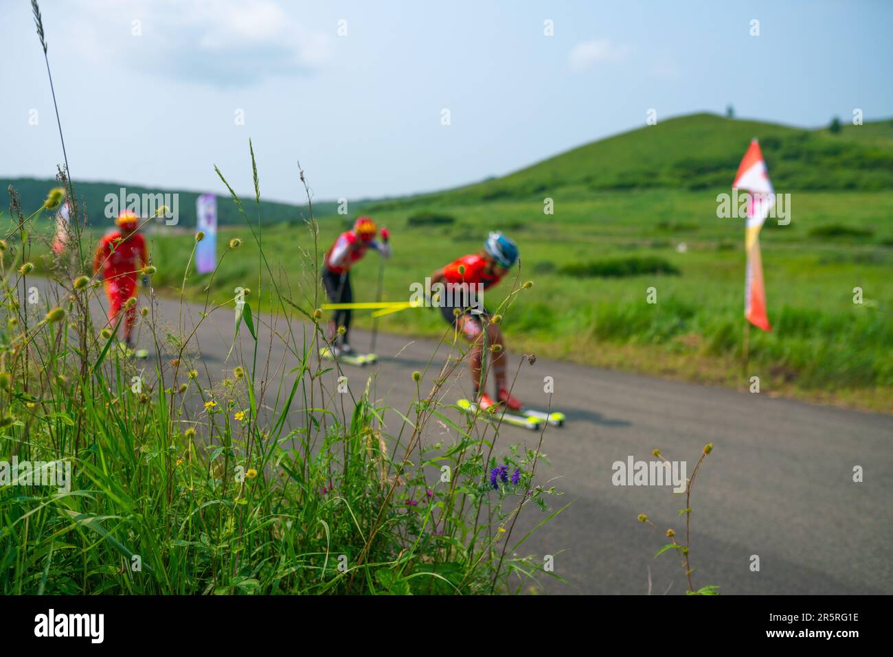 An action shot of a roller ski race taking place in a scenic outdoor ...