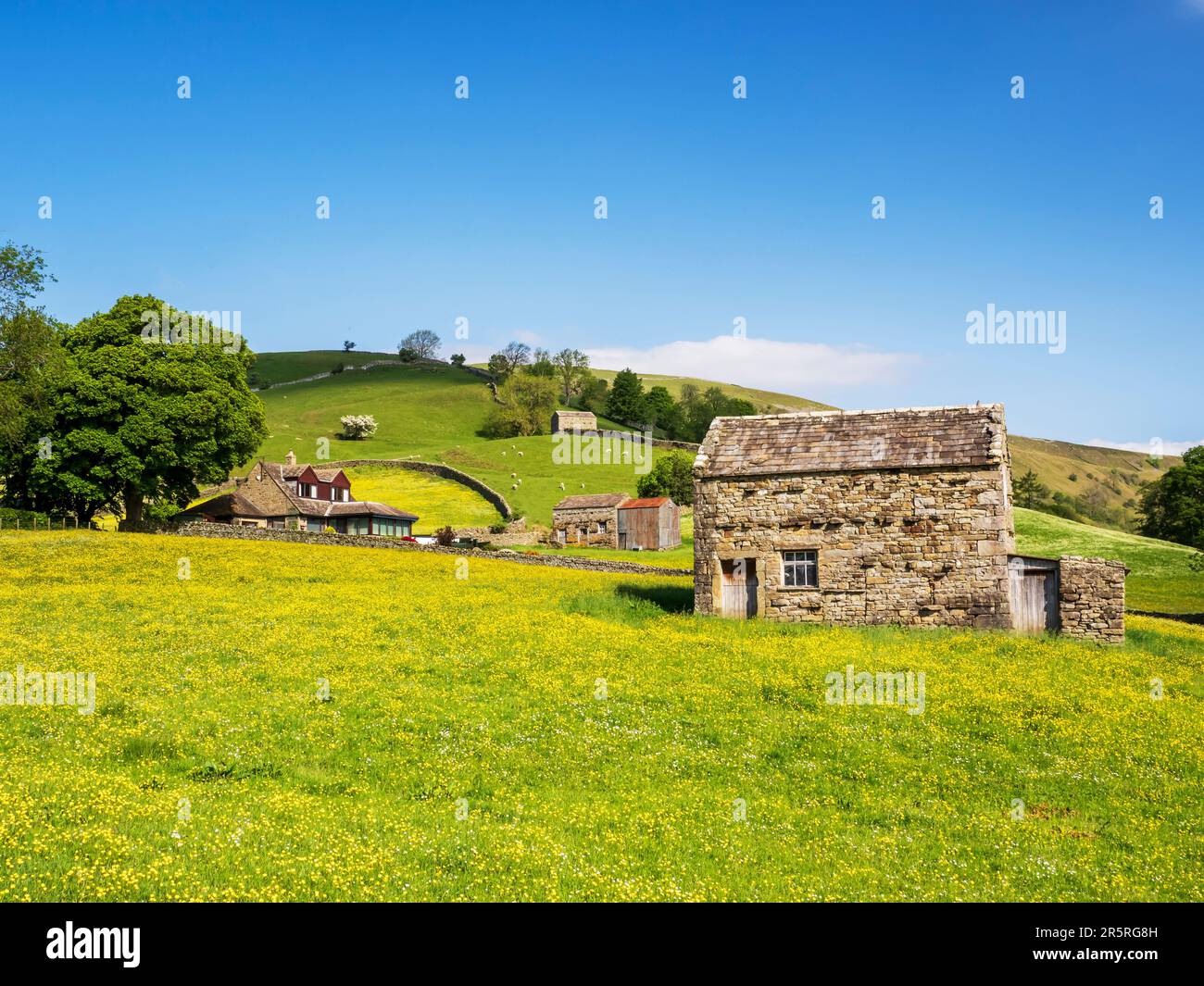 Traditional hay meadows and cow barns in Muker, Swaledale, Yorkshire ...