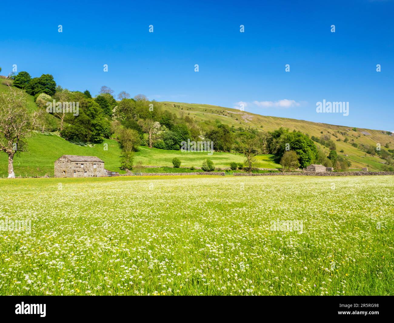 Traditional hay meadows and cow barns in Muker, Swaledale, Yorkshire ...