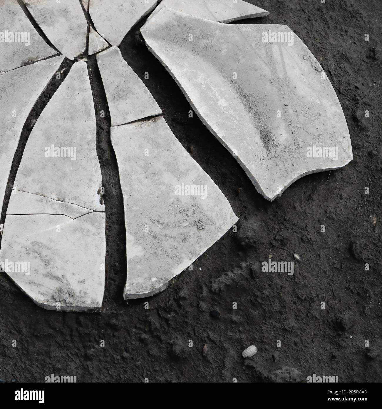 A close-up of a shattered plate lying on the ground, its pieces ...