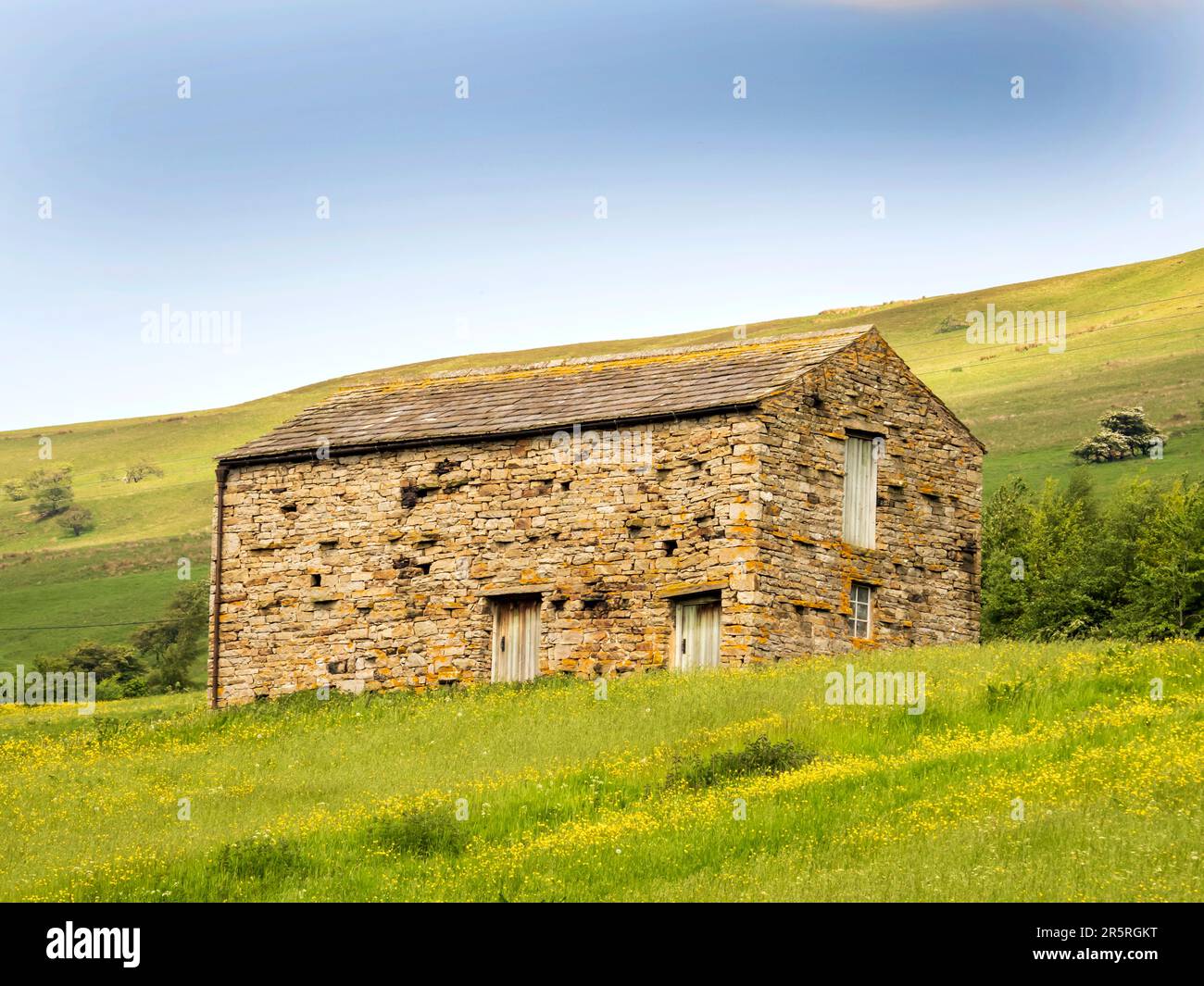 Traditional hay meadows and cow barns in Muker, Swaledale, Yorkshire ...