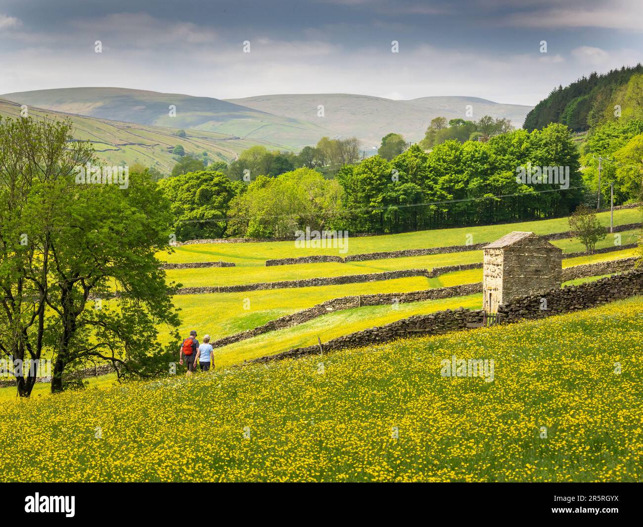 People walking through traditional hay meadows with cow barns near ...