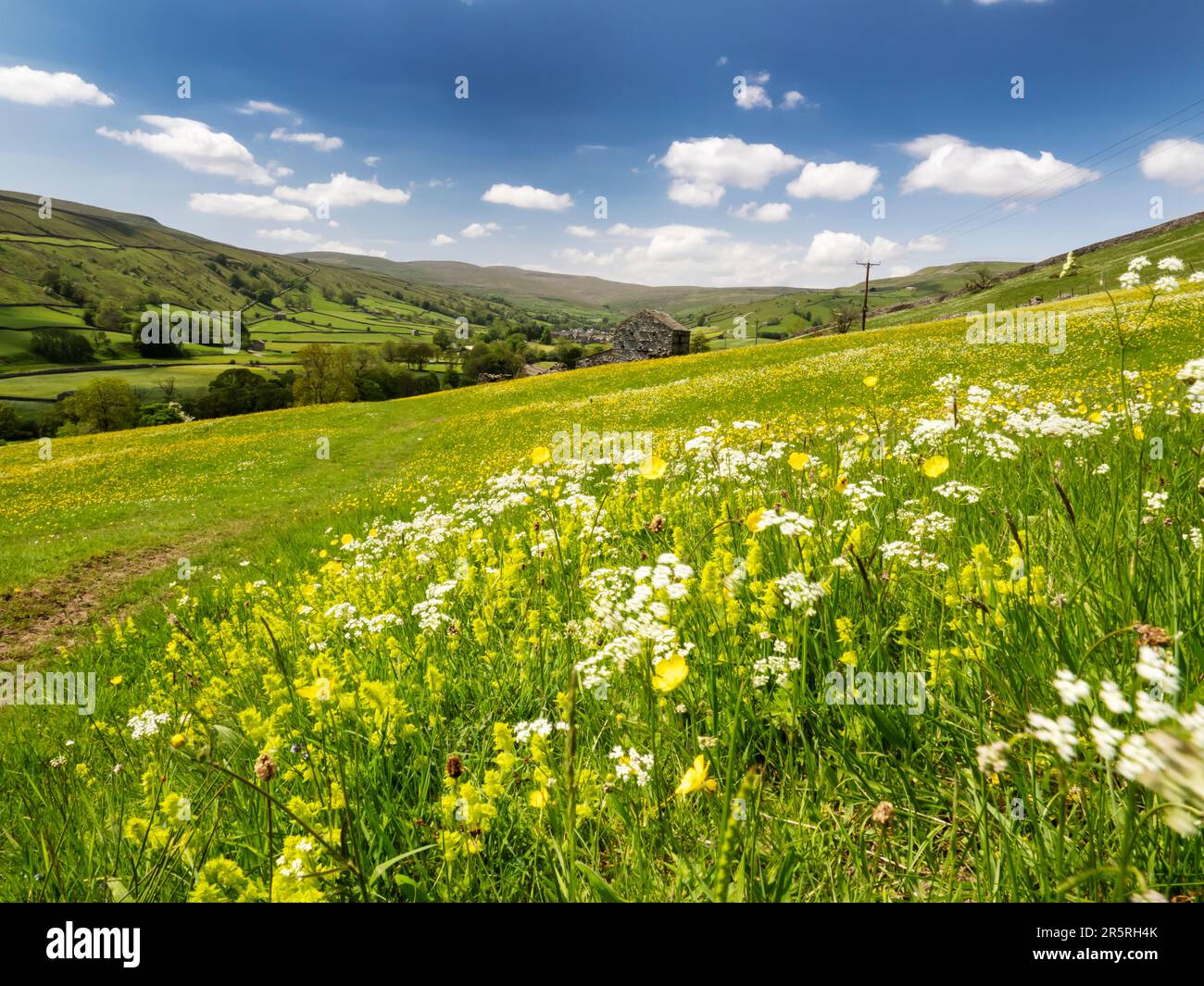 Traditional hay meadows and cow barns in Muker, Swaledale, Yorkshire ...
