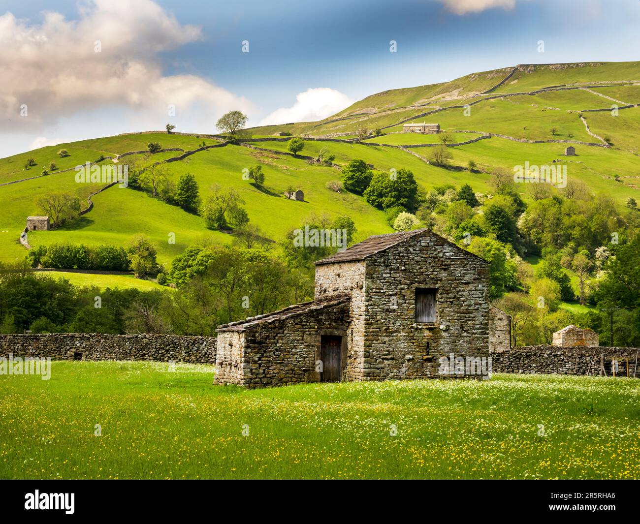 Traditional hay meadows with cow barns near Muker, Swaledale, Yorkshire ...