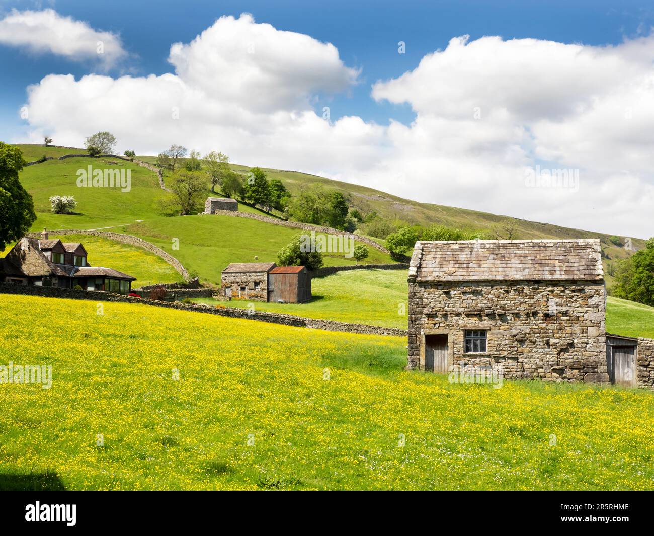 Traditional hay meadows and cow barns in Muker, Swaledale, Yorkshire ...