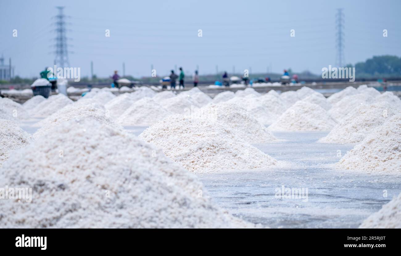 Sea salt farm and blur worker working on farm. Brine salt. Raw material ...