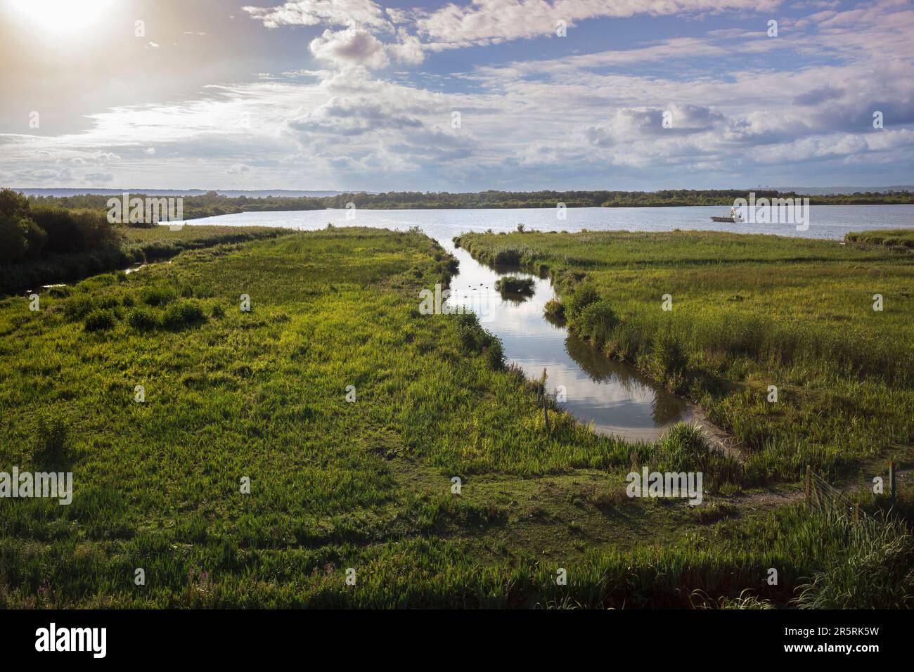France, Eure, Sainte-Opportune-la-Mare, Marais-Vernier National Nature ...