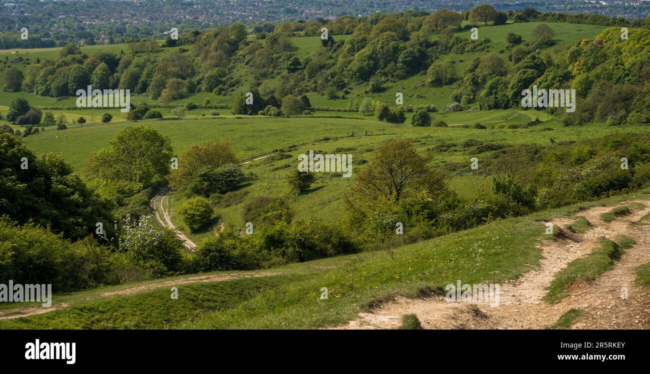 Cissbury Ring - West Sussex UK Stock Photo - Alamy
