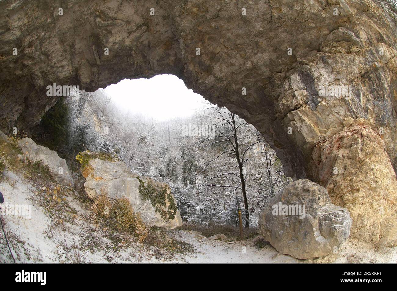 France, Ain, Jura massif, Culoz, hike to Mont Colombier, on the route ...