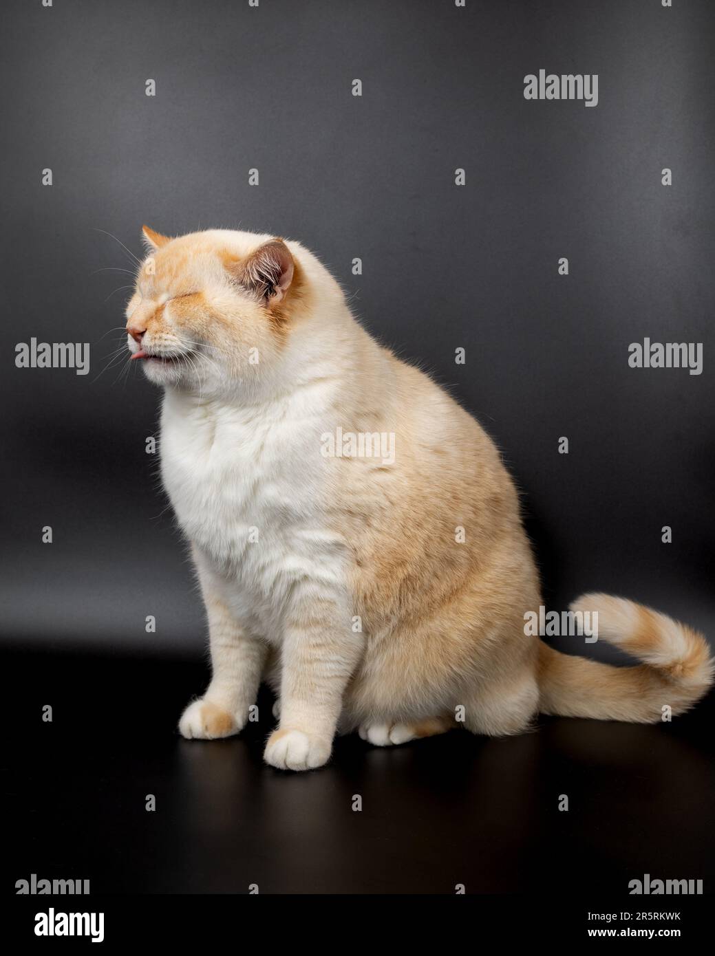 Sore bacteria hi-res stock photography and images - Alamy