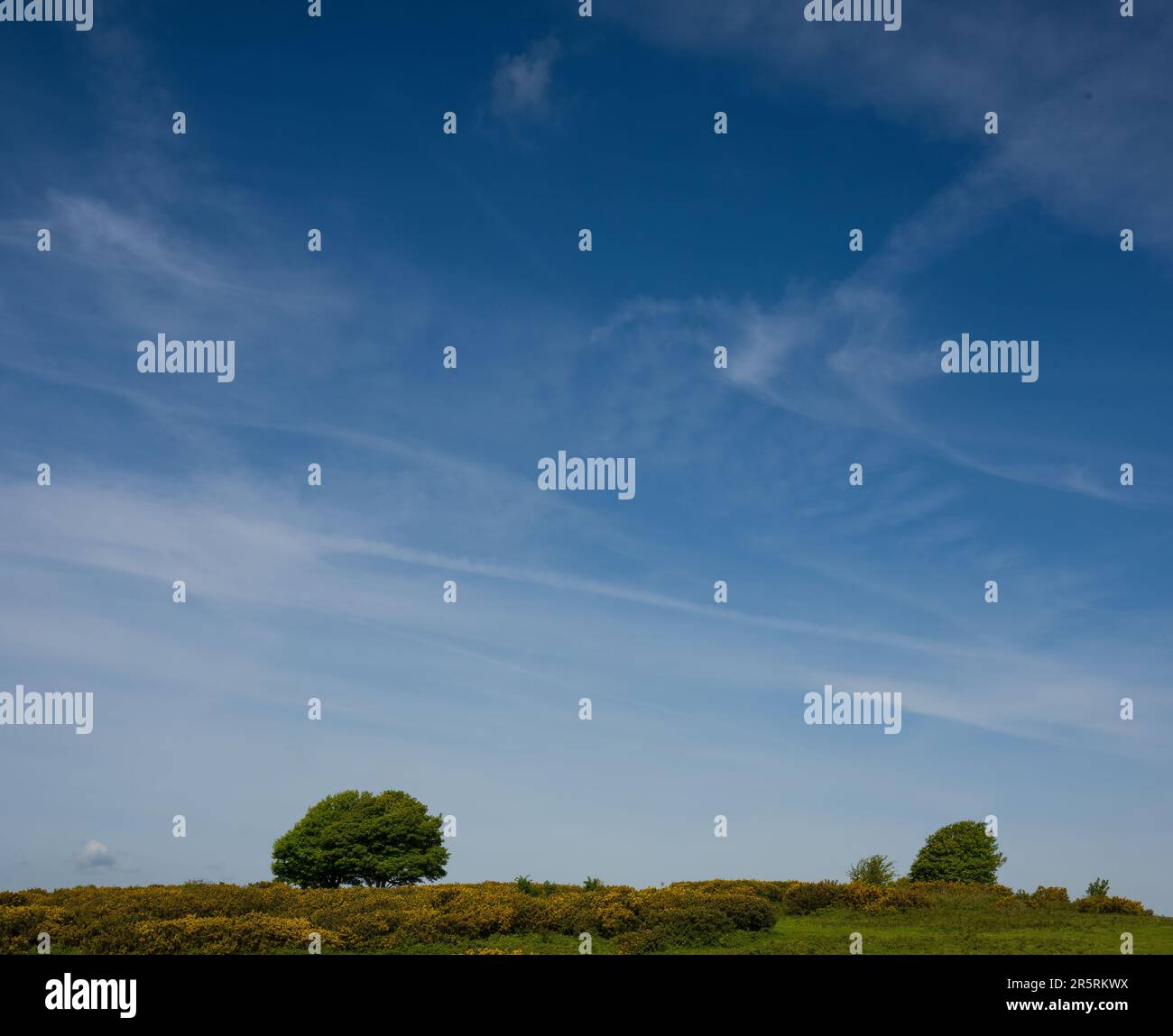 Cissbury Ring - West Sussex UK Stock Photo - Alamy