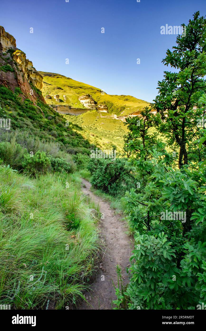 South Africa, Free State, Maloti-Drakensberg Park (UNESCO World ...